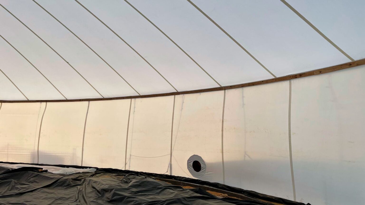 Stem Wall Domes: How 1 Simple Innovation Made This Structure Even ...